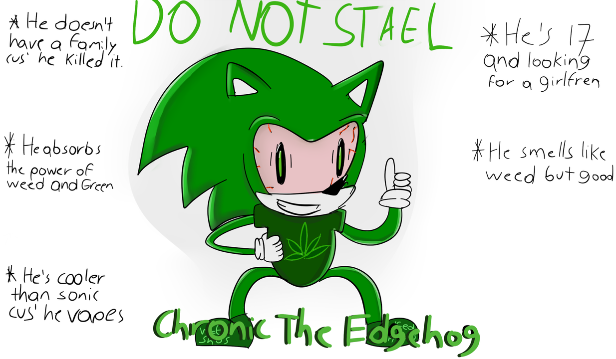 Image 59260: artist:Zerostring sonic sonic_oc streamer:vinny
